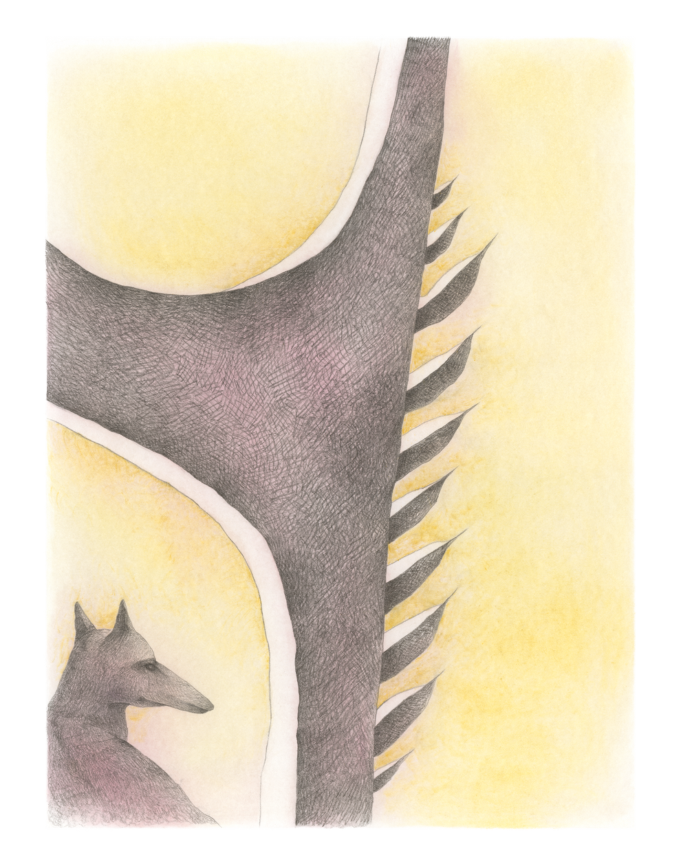 First Light - Print – Megan Goodacre